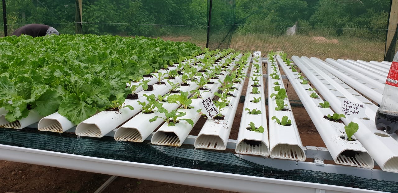 8-32 Hydroponic Grower System – NFT Hydro – Hydroponic Grower Solutions